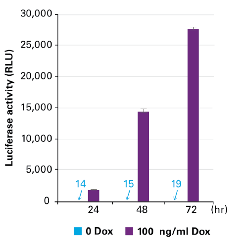 Tetracycline inducible expression—Tet-One systems Tetracycline inducible expression—Tet-One systems
